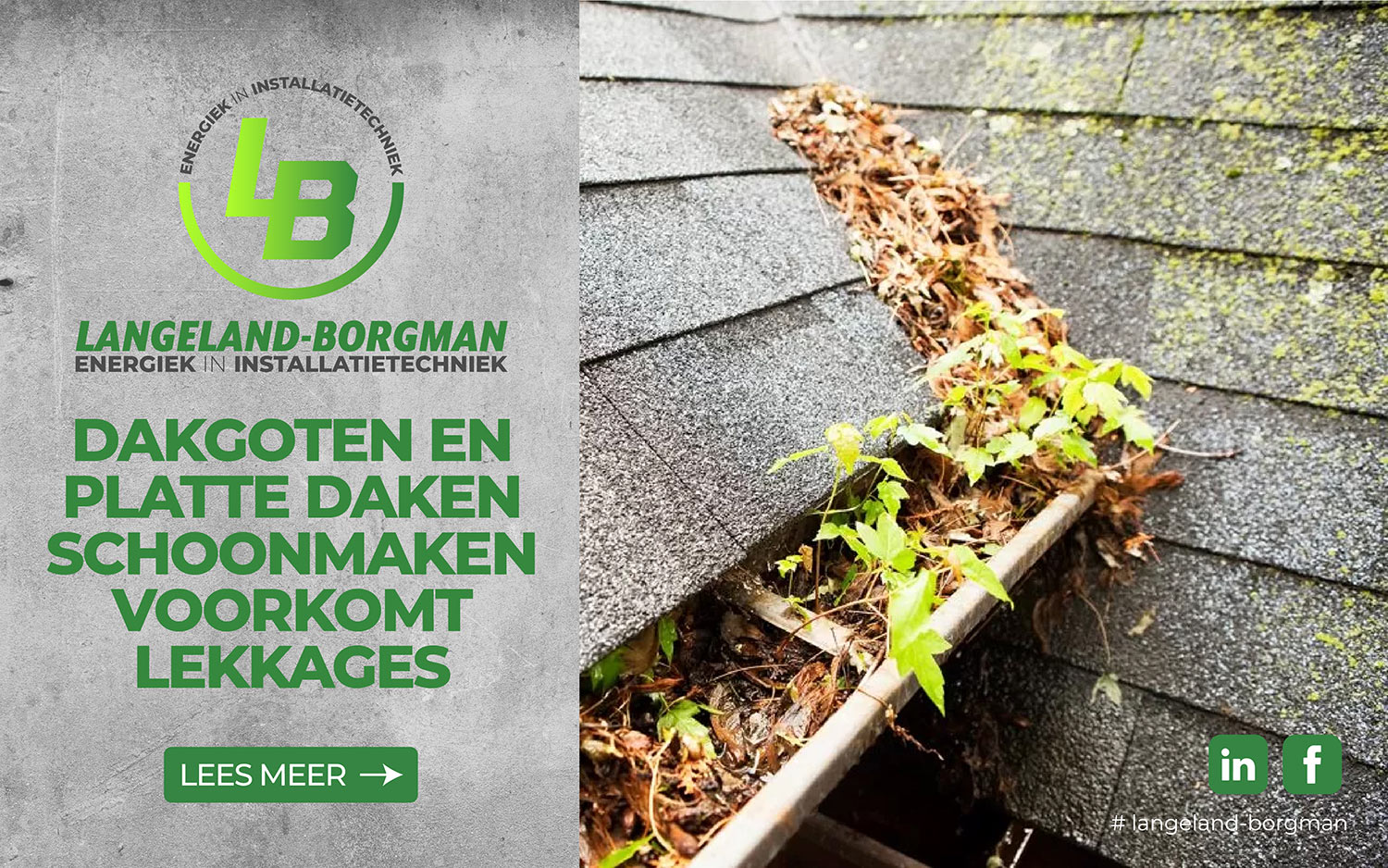 Dakgoten en platte daken schoonmaken voorkomt lekkages! - Langeland ...